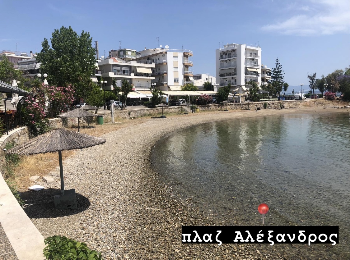 Έτοιμες οι παραλίες της Χαλκίδας για το καλοκαίρι 🏖️ | Δήμος Χαλκιδέων