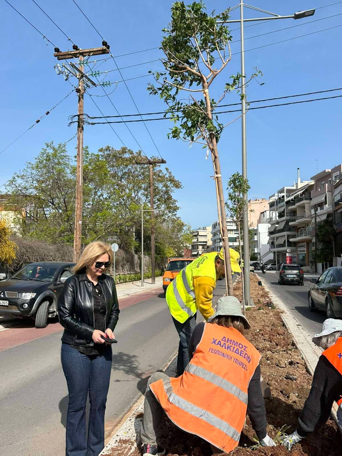 Νέα φύτευση στην οδό Αρεθούσης / Συνεχίζεται το έργο ανάπλασης της ...