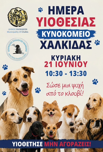 🐶🐱Ημέρα Υιοθεσίας στη Χαλκίδα, από τον Δήμο Χαλκιδέων και τον Ζωόφιλο ...